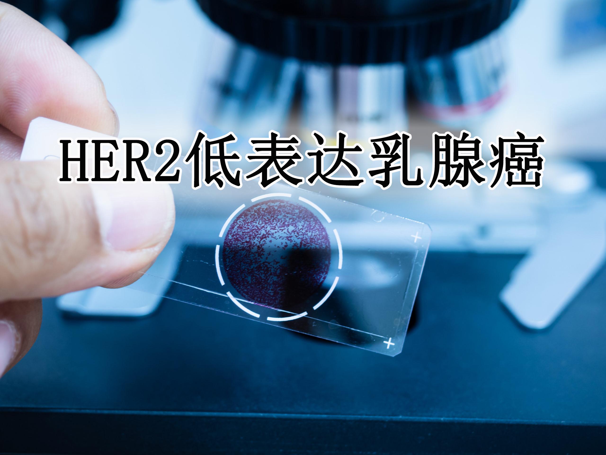 HER2低表达乳腺癌首个靶向药：总生存期提高6个月以上！FDA批准Enhertu - 知乎
