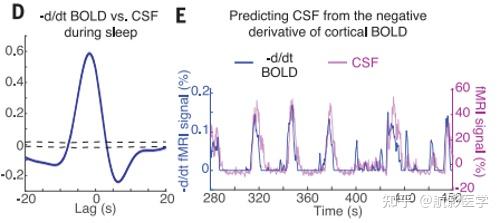 BOLD-CSF coupling：人脑血液动力学与脑脊液振荡耦合技术原理与应用 - 知乎