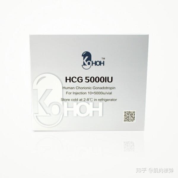 HCG（人绒毛膜促性腺激素），pct激活你的睾酮分泌。 - 知乎
