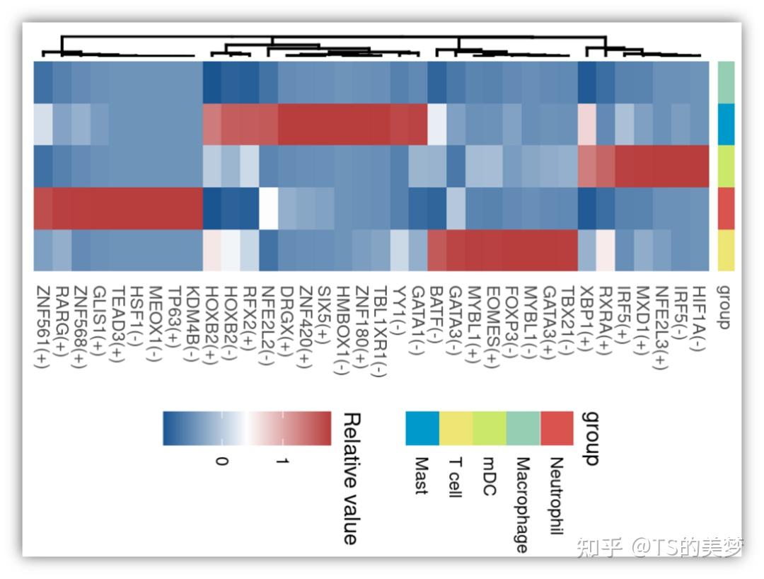 PySCENIC（三）：pyscenic单细胞转录因子分析可视化 - 知乎