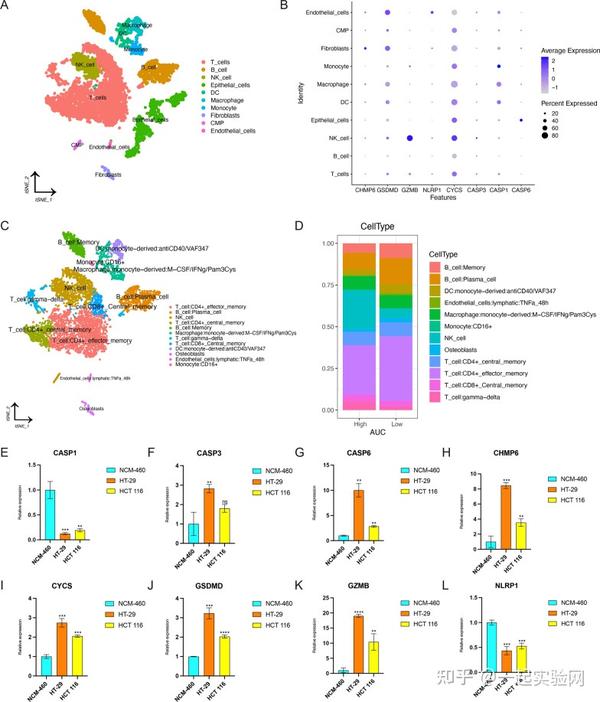 6+肿瘤生信文章，教你bulk RNA-seq+scRNA-seq的分析思路，快来抄作业！！！ - 知乎