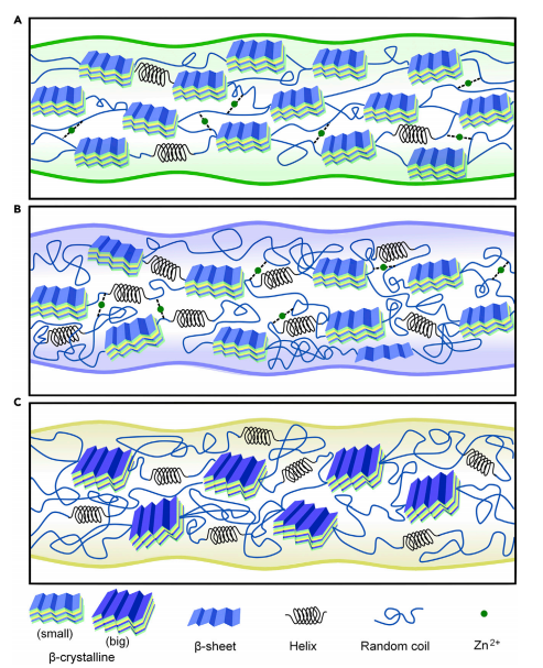 首次！人工蚕丝强度，比天然蛛丝强！ - 知乎
