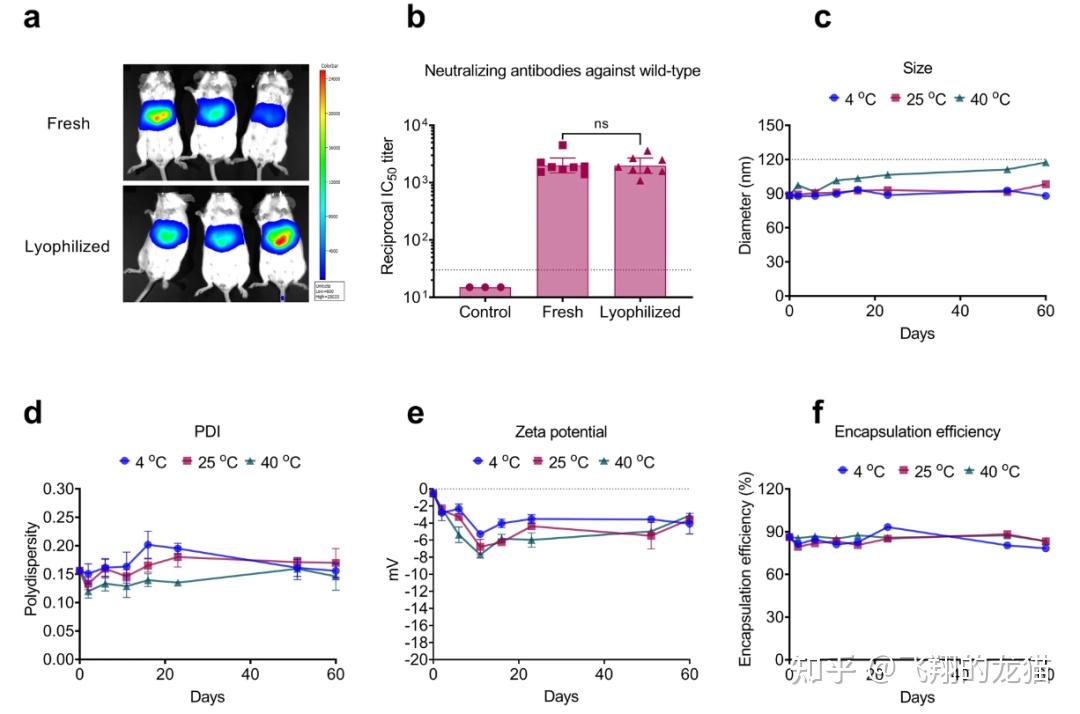 mRNA 疫苗的冻干保存 - 知乎