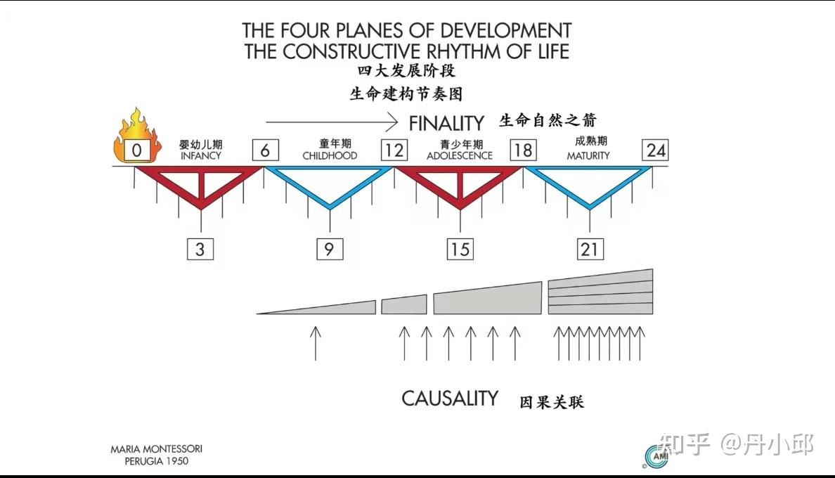 精神胚胎幼儿发展四大阶段——生命的建构性节奏（篇三） 知乎