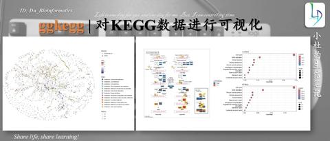 ggkegg | 对KEGG数据进行可视化 - 知乎