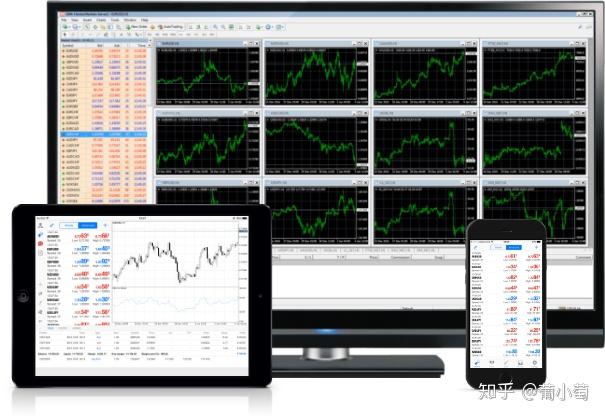 {dooprime德璞资本}获MetaQuotes官方认可，Doo Tech为港交所和MT4/5搭桥 - 知乎