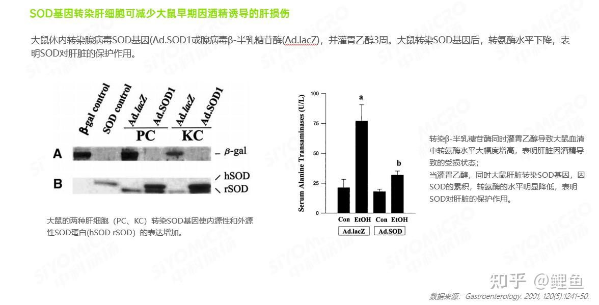 SOD介绍及功效应用 - 知乎