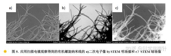 扫描电镜透射模式（STEM）的成像原理及应用 - 知乎