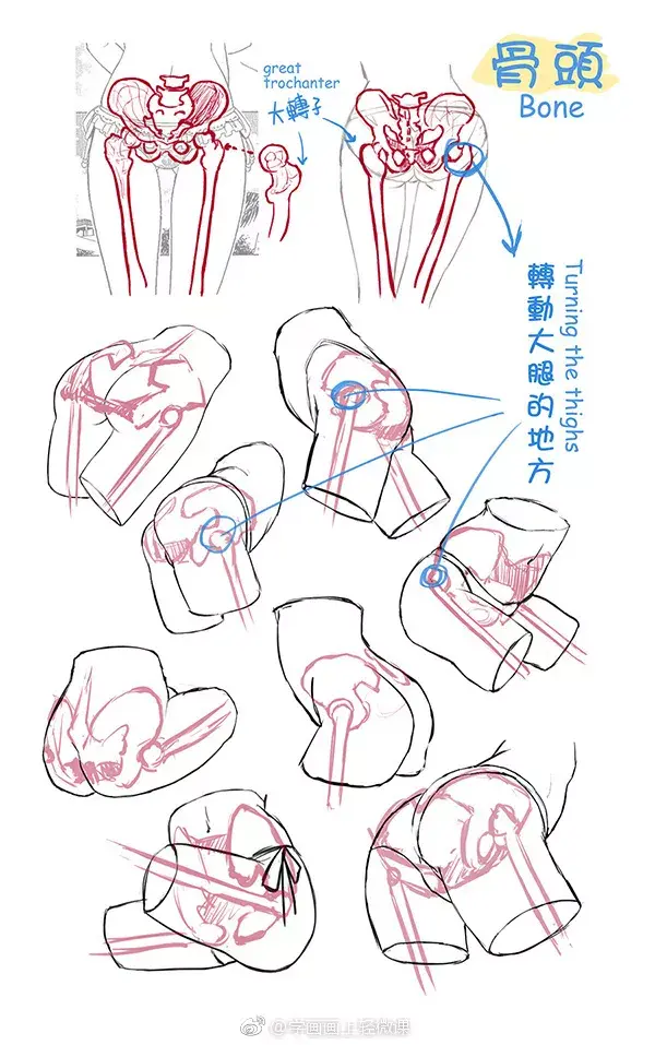 怎么画屁股?臀部的画法 知乎