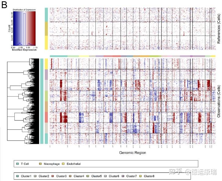 聚焦生信 | 肿瘤恶性细胞鉴定-inferCNV原理及应用全面教程-附代码 - 知乎