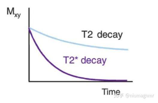 为什么要用CPMG序列测试T2？ - 知乎