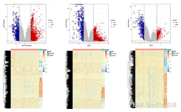 看完还不会来揍我 | 差异分析三巨头 —— DESeq2、edgeR 和 limma 包 | 附完整代码 + 注释 - 知乎