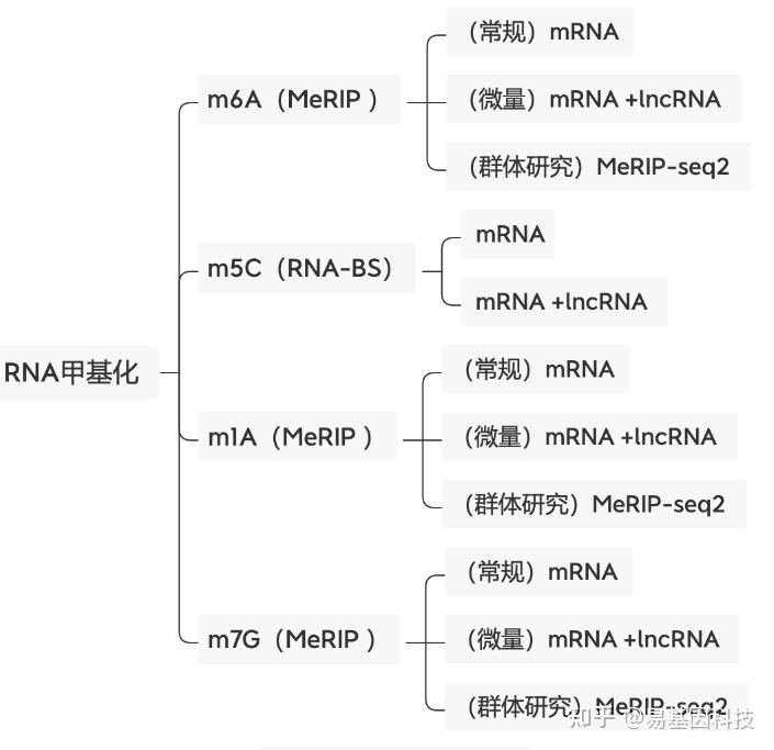 干货系列：高通量测序后的下游实验验证方法——m6A RNA甲基化篇｜易基因 - 知乎