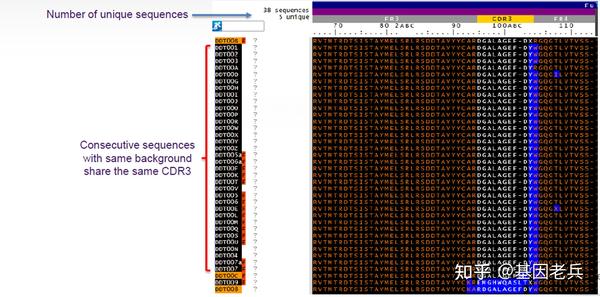 抗体序列分析神器/软件（药物研发） - 知乎