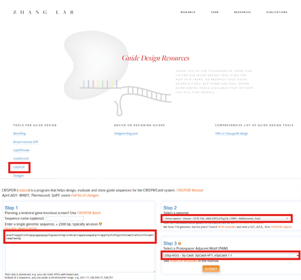 载体构建入门攻略——基因编辑载体篇 - 知乎