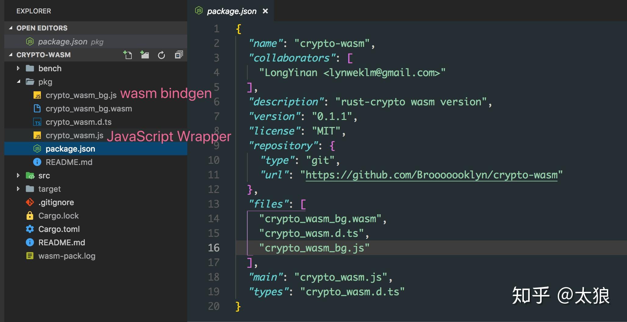 Rust & WebAssembly 初探 - 知乎