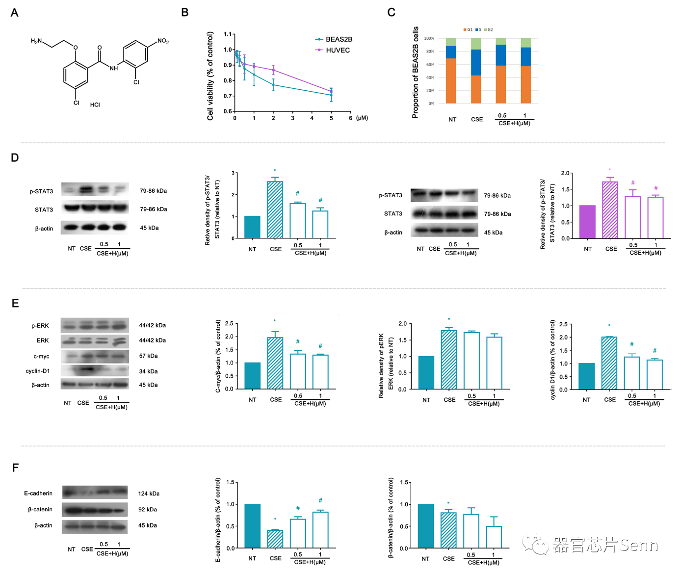 【器官芯片】肺芯片中烟雾通过肺上皮细胞STAT3信号传导诱导恶性转化 - 知乎