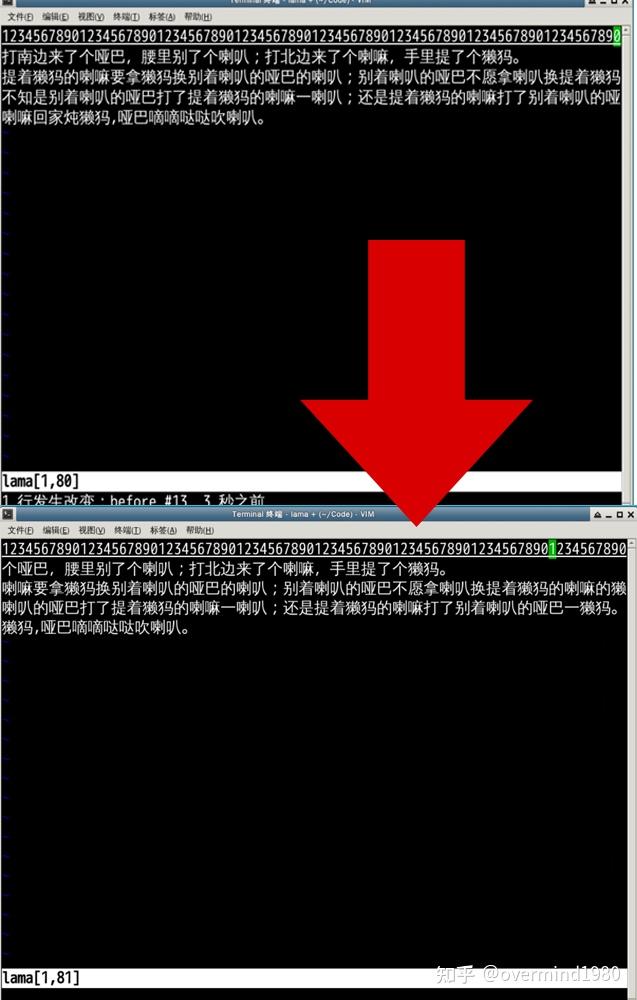 oeasy教您玩转vim - 28 - 水平移动 - 知乎