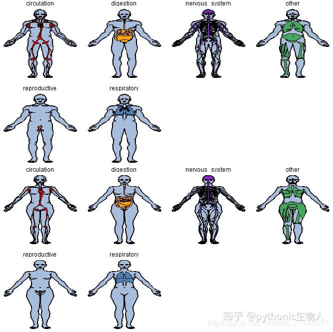 R可视化15|27种常见物种解剖图轻松绘制 - 知乎