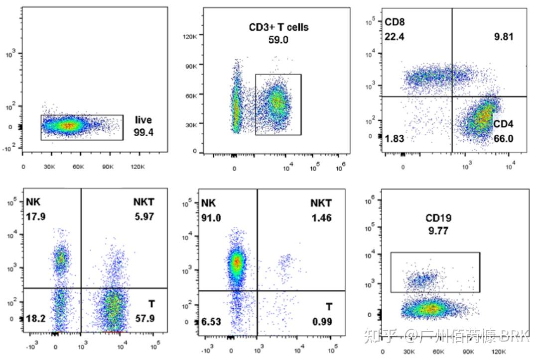 解读hPBMC—细胞治疗主力军 - 知乎