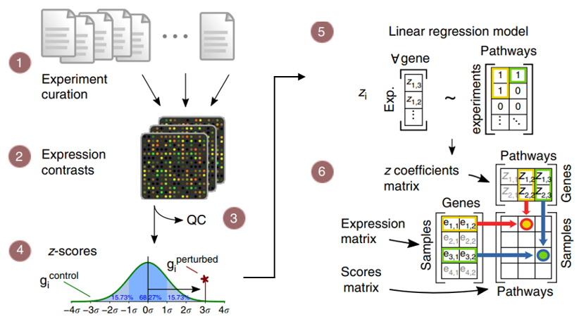 博奥小课堂 | 一款好用的信号通路活性评估软件——PROGENy - 知乎