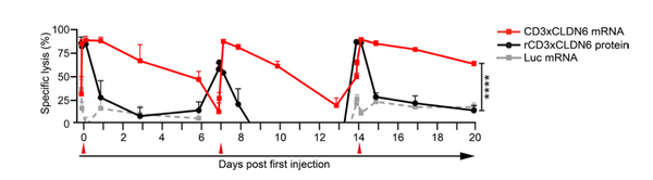 编码单/双抗mRNA药物时代已来 - 知乎