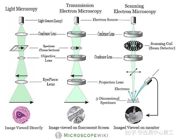 用动画带你了解透射电镜（TEM）知识重点 - 知乎