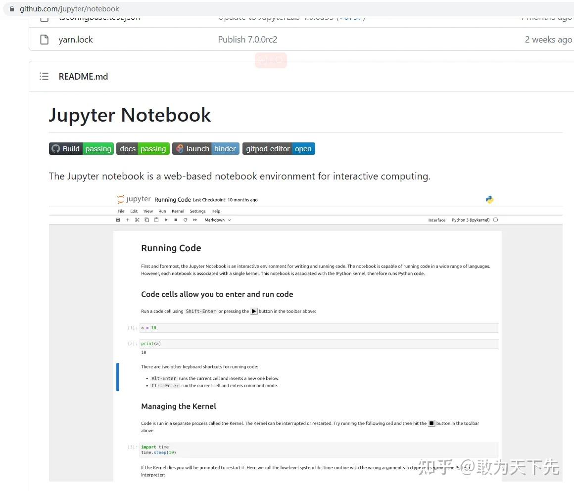 Jupyter notebook二次开发 - 知乎
