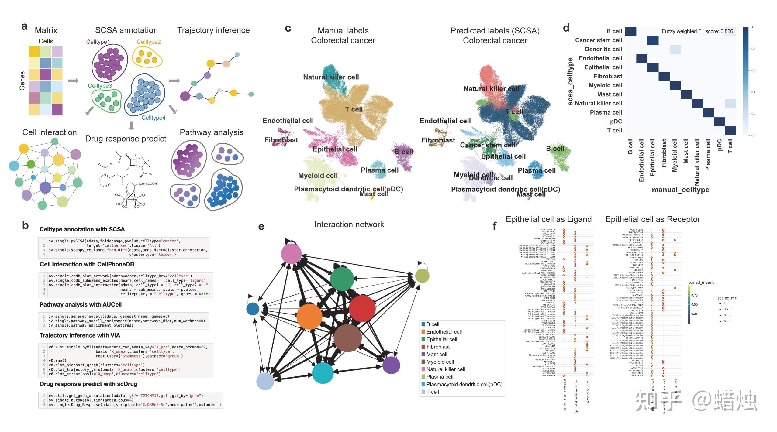 OmicVerse: 解决整个转录组学分析的Python框架 - 知乎