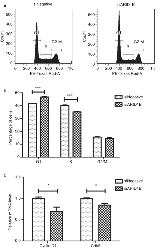 挖掘乳腺癌发病机制，从ARID家族基因入手 - 知乎