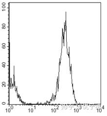 FlowJo之 t-SNE：流式数据高质量输出的“小机灵鬼儿” - 知乎