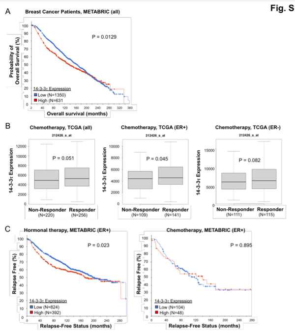 PNAS | 控制进出核的古老信号蛋白14-3-3调节乳腺癌进展关键分子 - 知乎