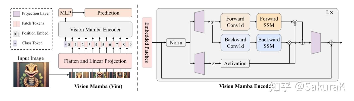 Vision Mamba: Efficient Visual Representation Learning with Bidirectional State Space Model 论文解读 ...