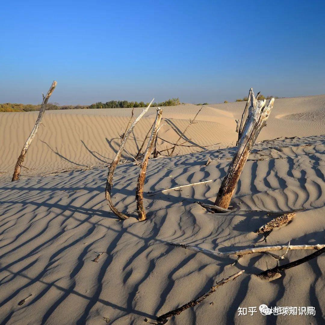 哈萨克斯坦，一个要命的问题 | 地球知识局 - 知乎