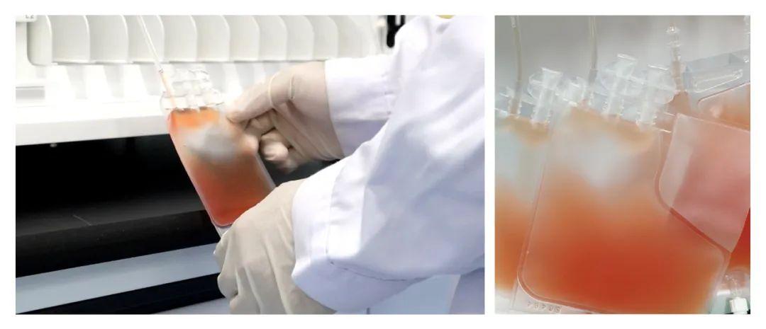 硬核产品 l Gentle P-Pac高精度自动分装系统，高效分装制剂自动化解决方案-上海玮驰仪器有限公司