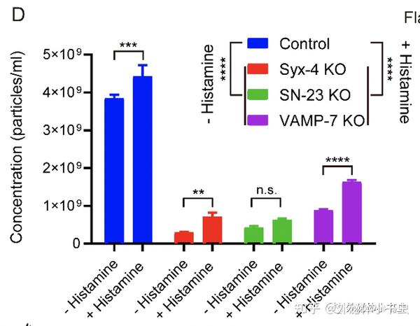 文献分享【JEV】敲除SNARE复合物抑制外泌体分泌和肿瘤生长 - 知乎