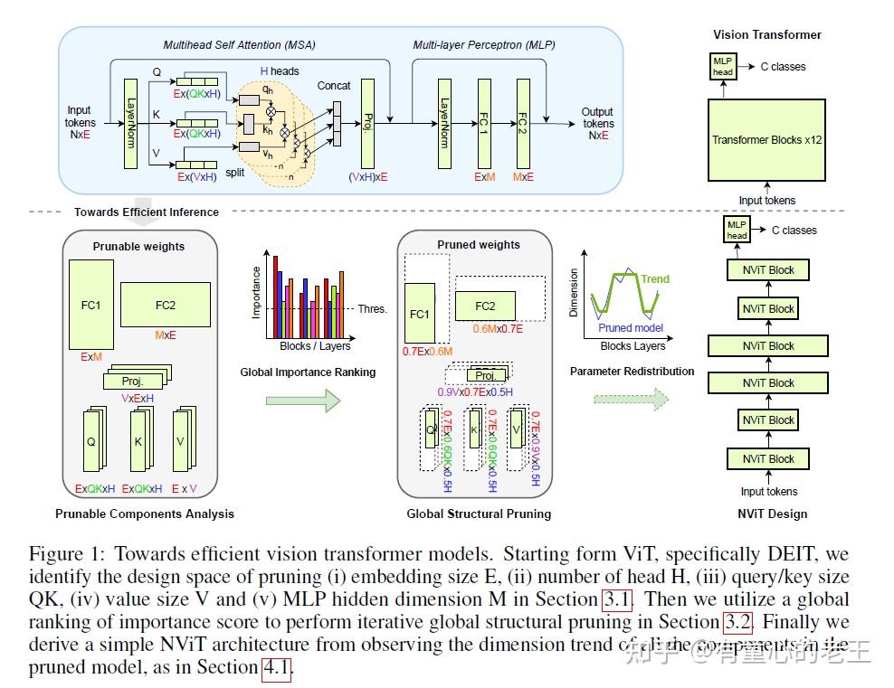 个人笔记 | 针对Vision Transformer剪枝的NViT - 知乎
