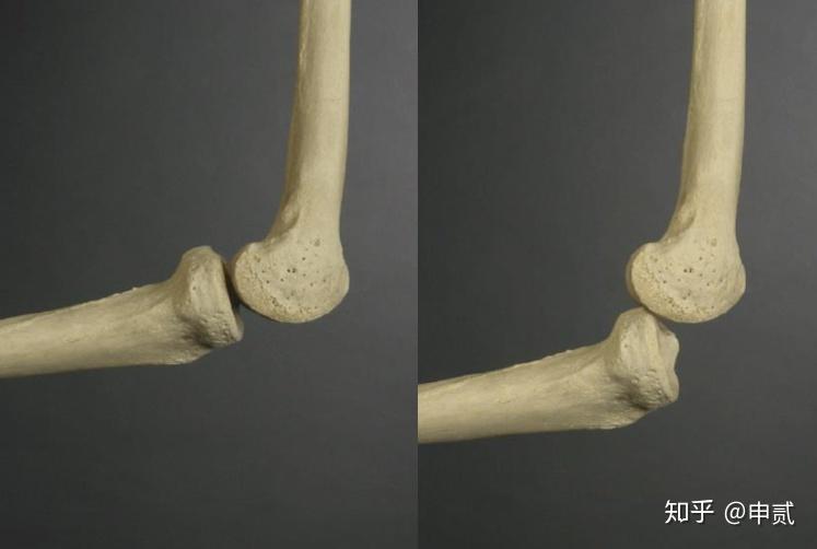 关节松动术——增加关节活动度 - 知乎
