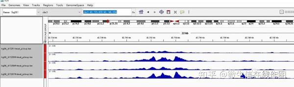 做研究用hg19还是hg38基因组？一行代码将hg19的bw文件转成hg38 - 知乎