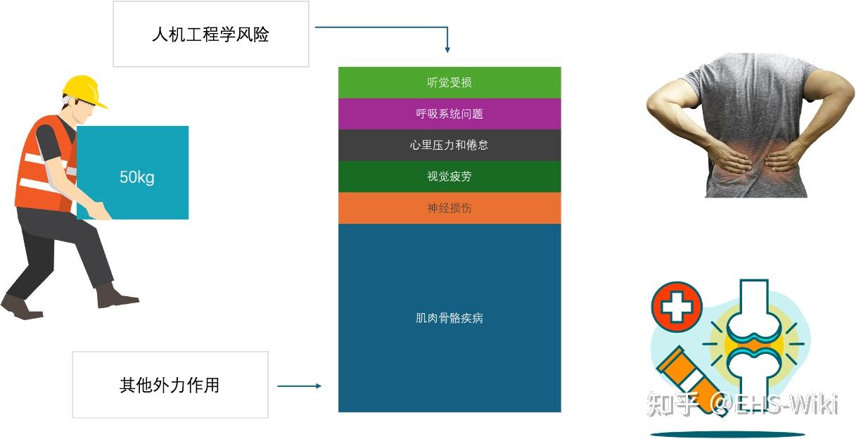 工作相关的肌肉骨骼疾病（WMSDs）和人机工程学（Ergonomics）基础内容 - 知乎