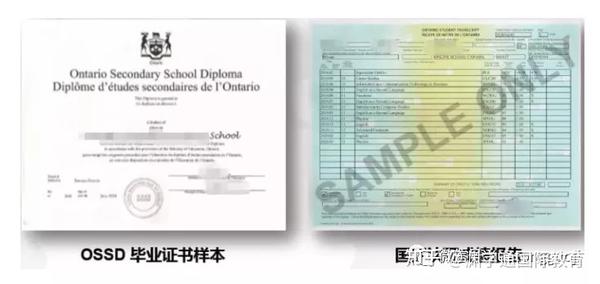 OSSD文凭申请大学？小心被取消offer！