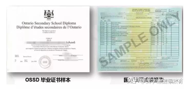 OSSD文凭申请大学？小心被取消offer！