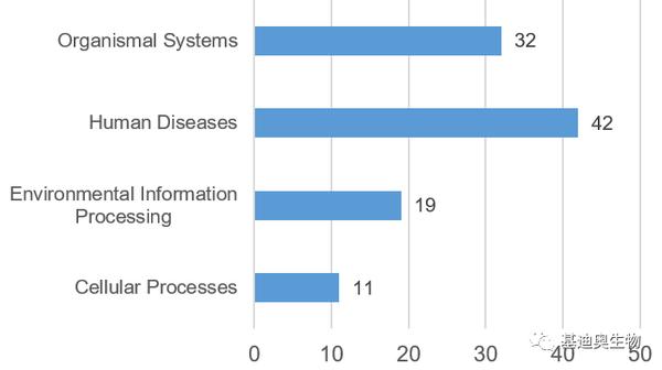 MAPK通路(ko04010)专题解析（上） - 知乎