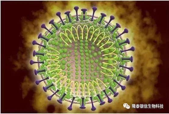 XINGUAN病毒是如何使人生病的？干细胞治疗展开了哪些探索？ - 知乎