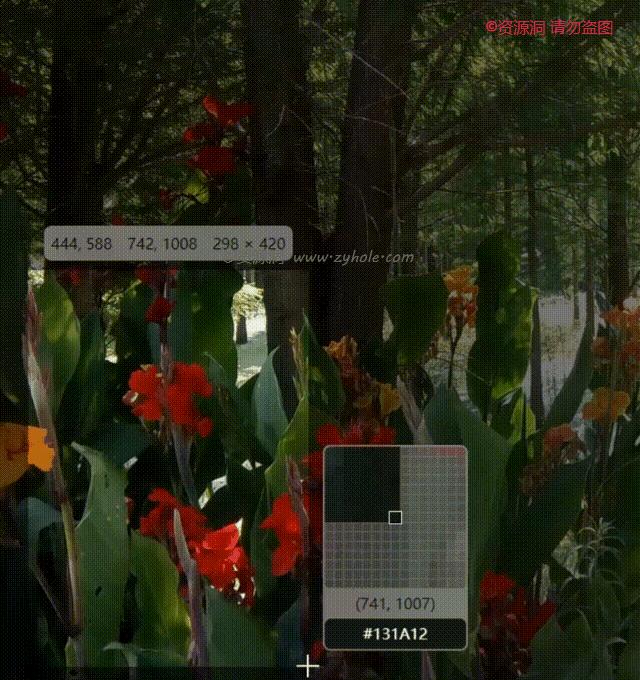 截图工具eSearch，集OCR、搜图、翻译、取色、截屏录屏于一身的电脑软件 - 知乎
