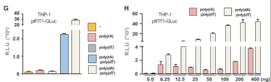 THP-1基因敲除细胞系 —免疫与炎症研究的利器-源井生物