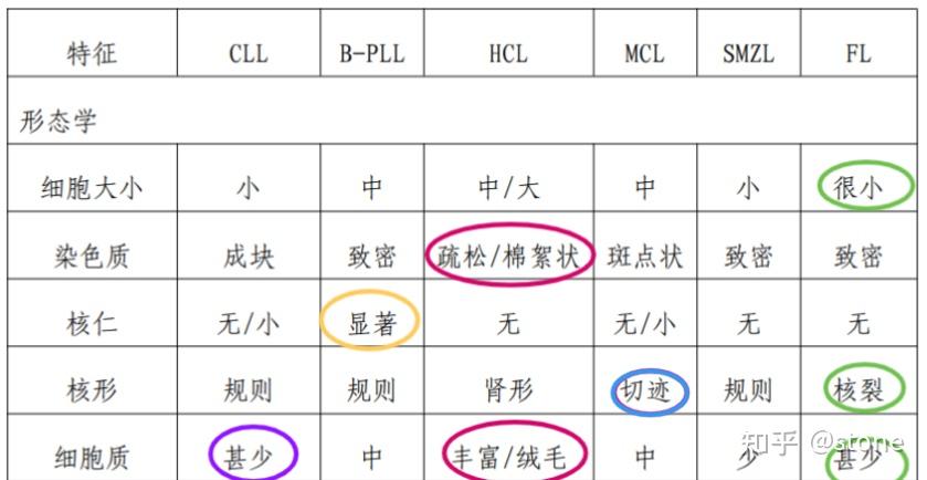 CLL/SLL - 知乎
