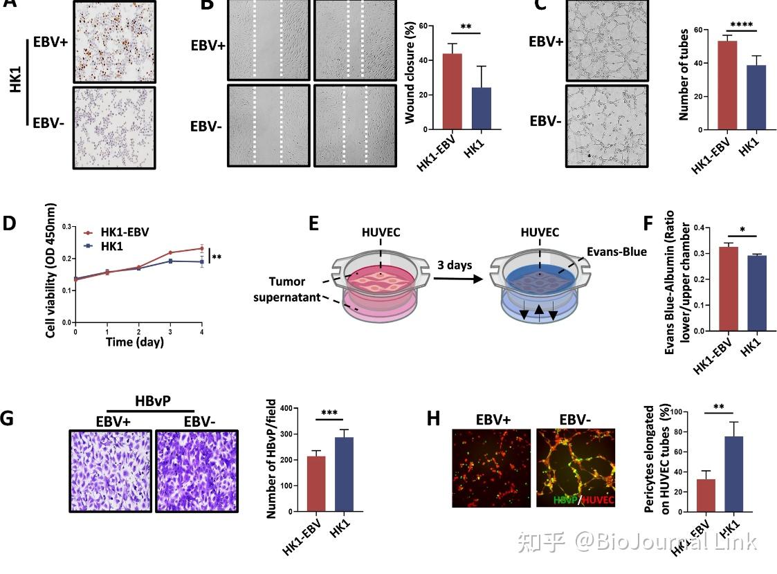 期刊追踪 - 知乎