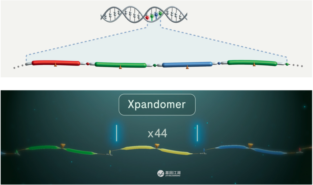 罗氏Roche测序：士别十年，我胡汉三又回来了！ - 知乎