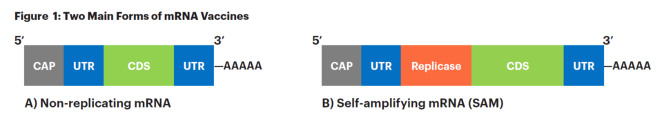 美国制定mRNA疫苗质量分析方法-USP指南草案 - 知乎